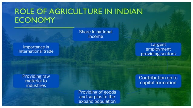 Role of agriculture in indian economy | PPTX | Agriculture | Industries