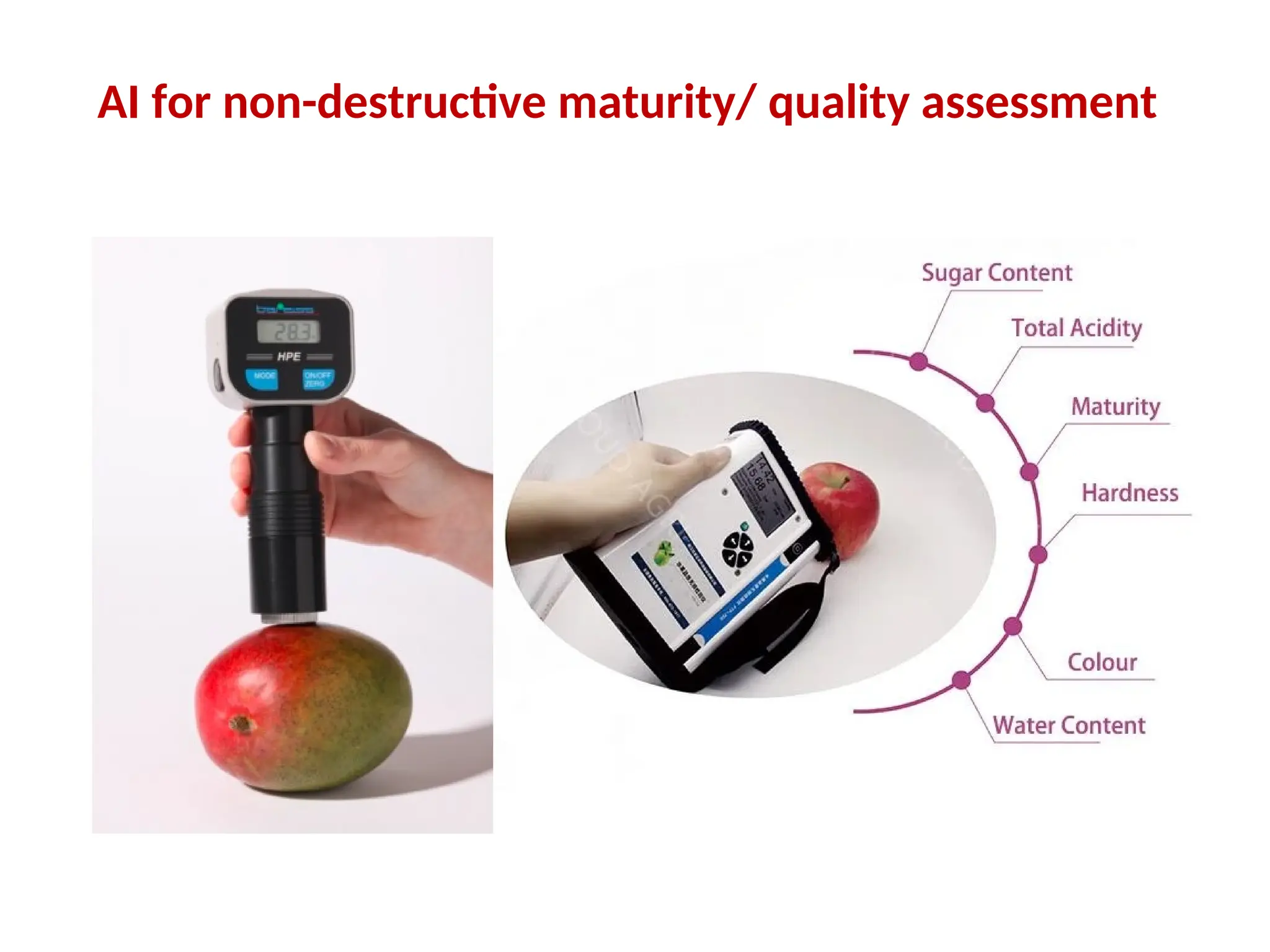Role of AI in PHM of Horticultural Crops.ppt