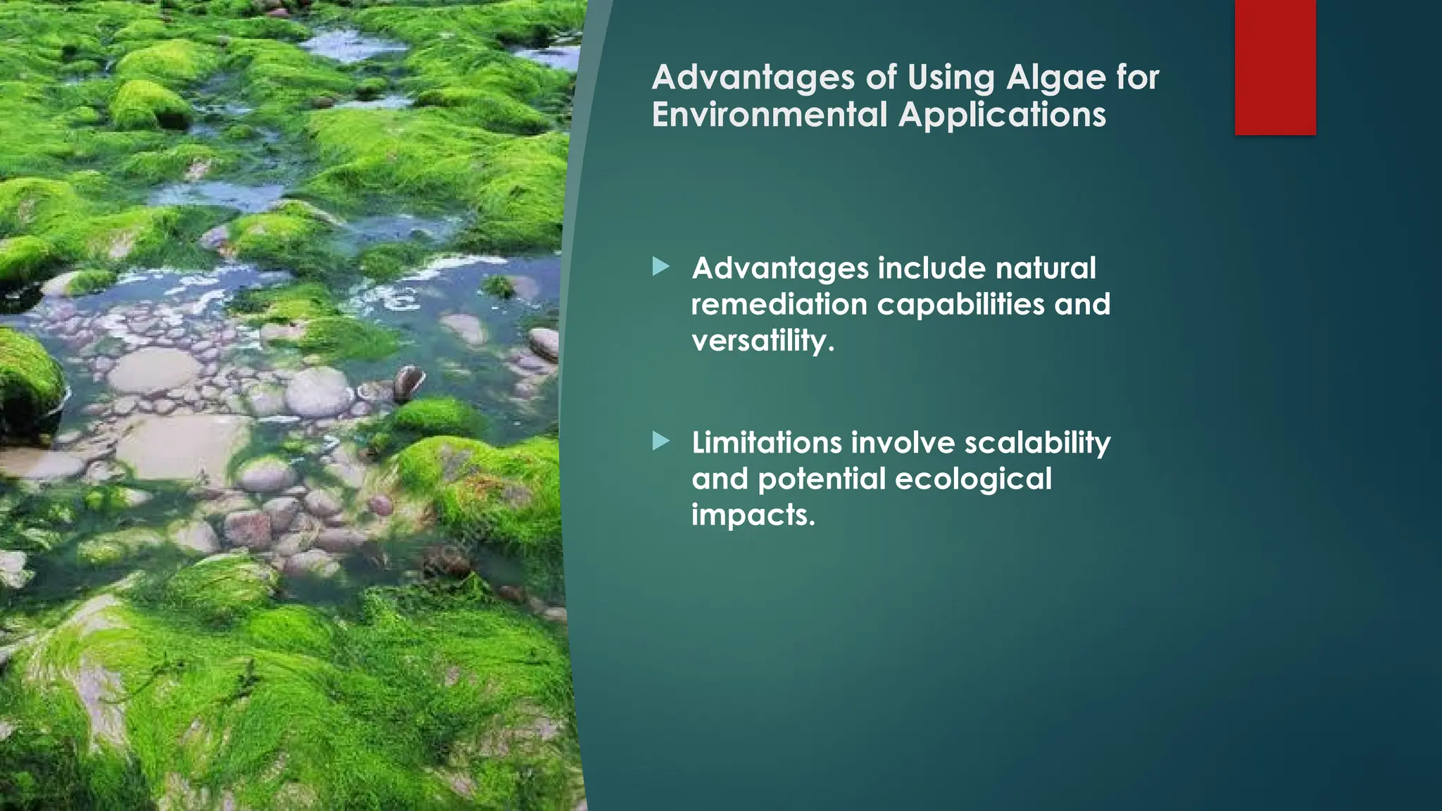Role of Algae in Sustainable Development.pptx