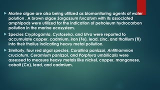 Role of Algae in Sustainable Development.pptx