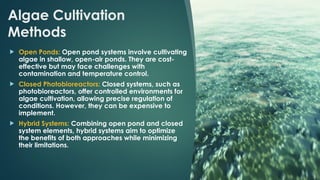 Role of Algae in Sustainable Development.pptx