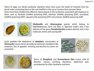 Role of Algae in the environment, economy, agriculture, medicine ...