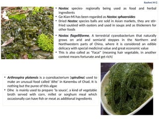 Role of Algae in the environment, economy, agriculture, medicine ...