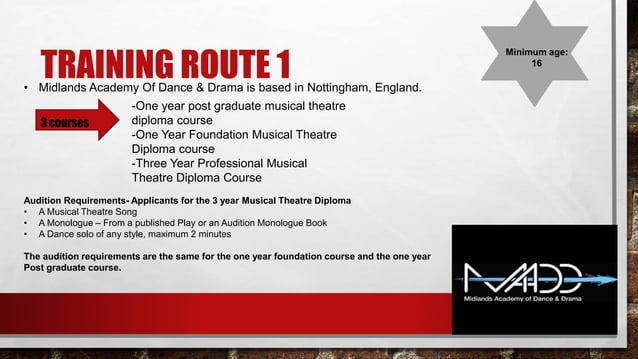 Role of a musical theatre performer final | PPTX