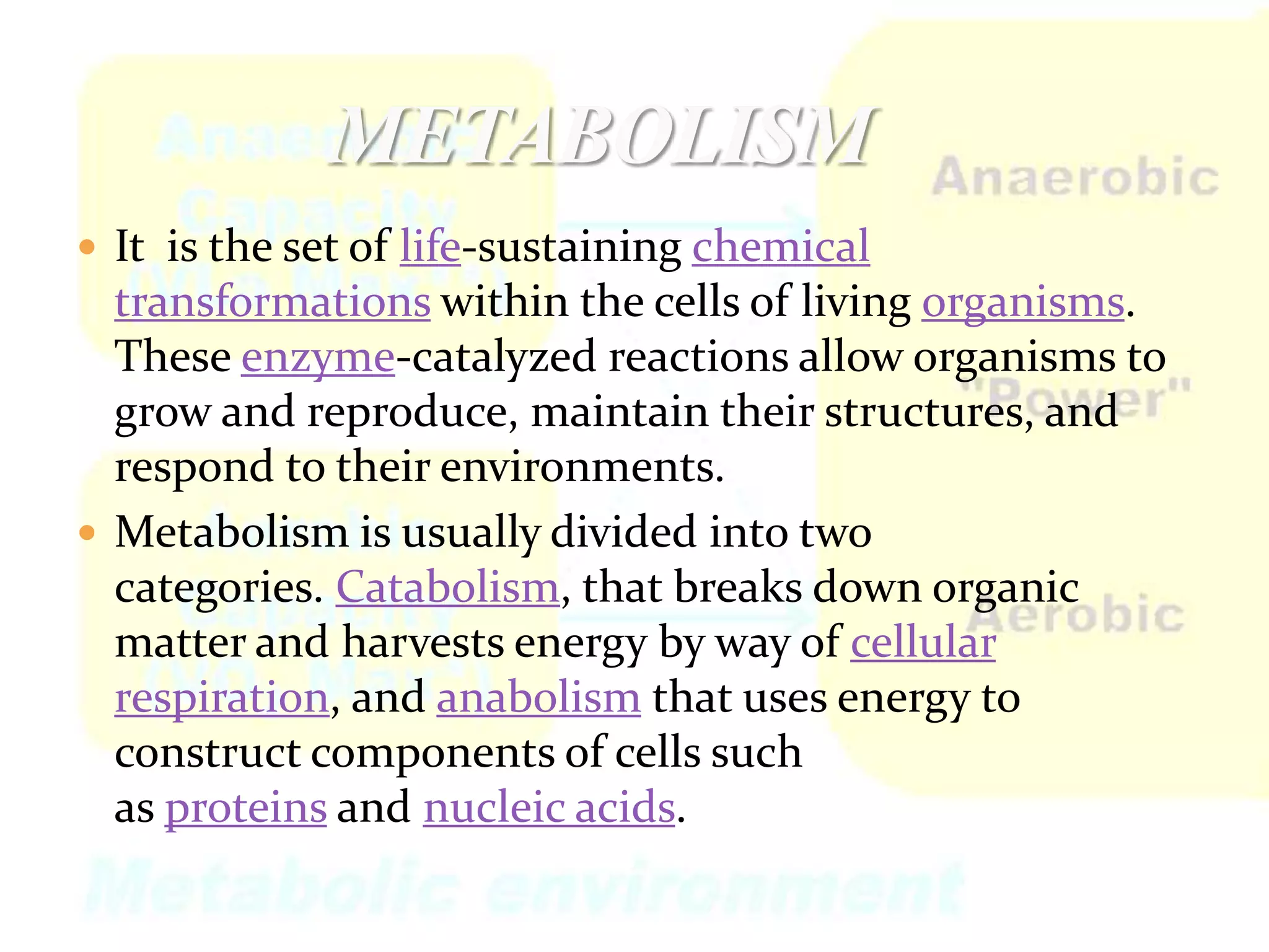Role of anaerobic and anaerobic metabolism in exercise. | PPTX