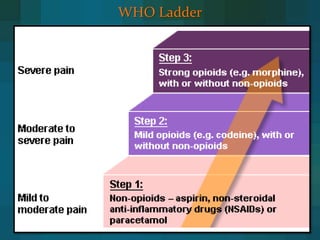 Role of anaesthesiologist in management of cancer pain | PPTX