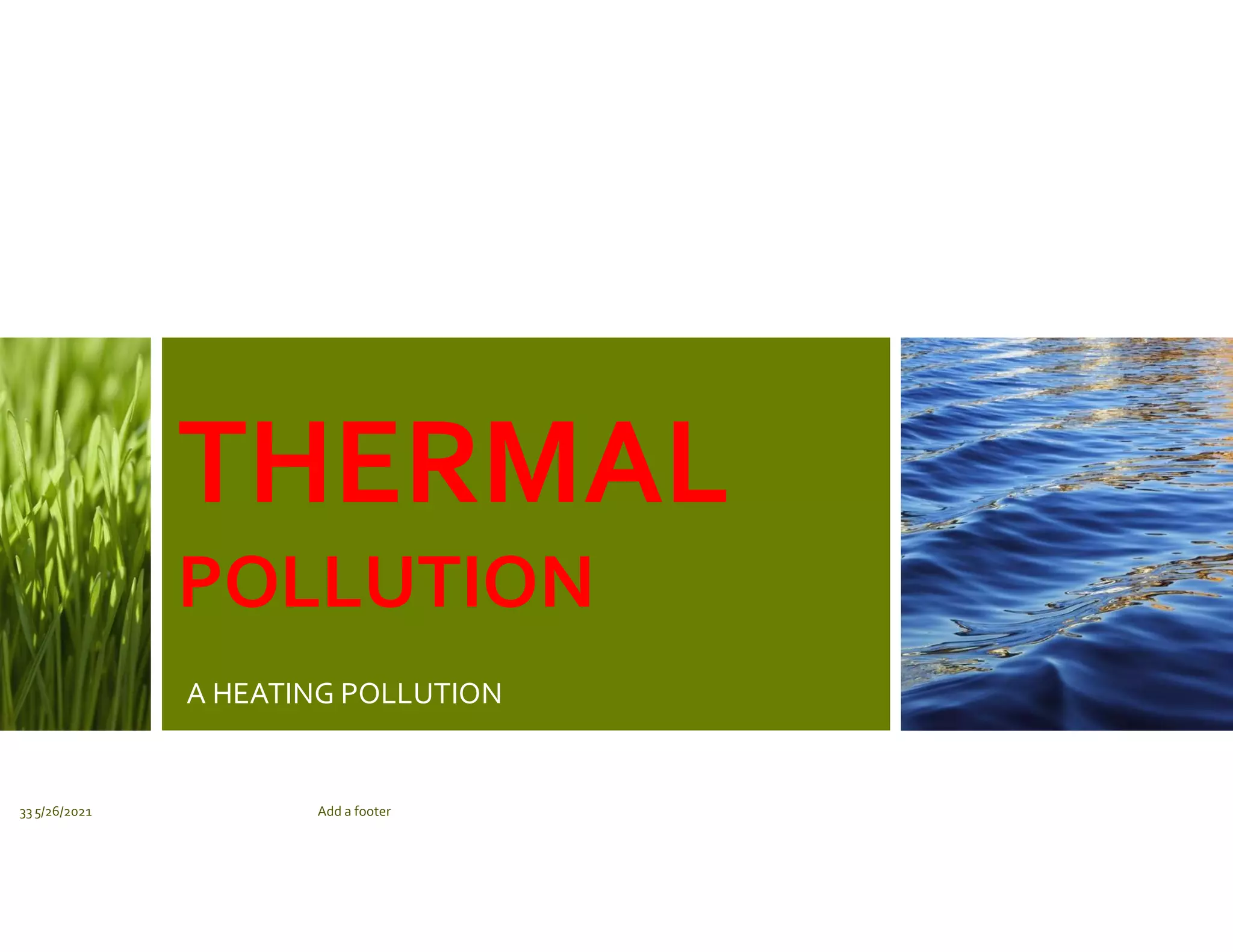 Role of an individual in prevention of pollution | PDF