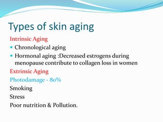Role of antioxidants in skin anti aging | PPTX