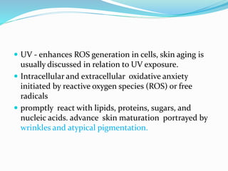 Role of antioxidants in skin anti aging | PPTX