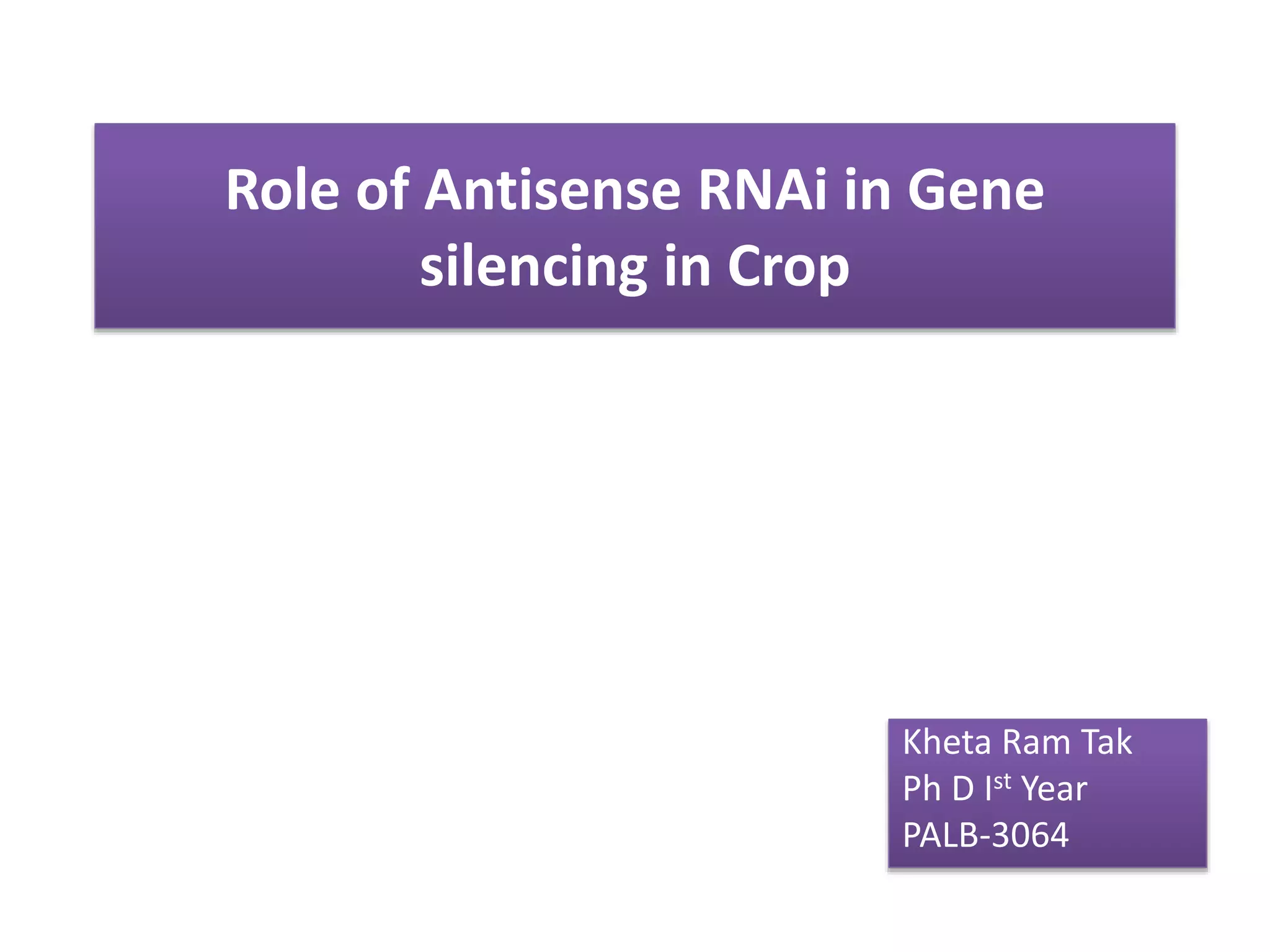 Role of antisense RNAi in gene silencing in crop | PPTX