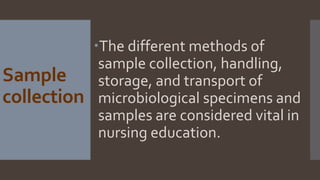 Role of a Nurse in Microbiology.pptx