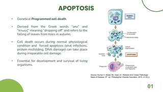 ROLE OF APOPTOSIS IN CANCER PATHOPHYSIOLOGY_ (Ananya Chanda).pdf