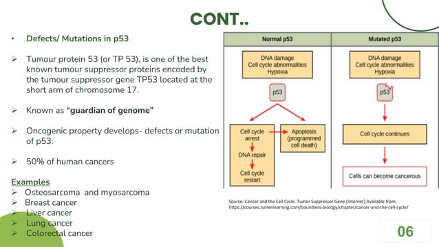 ROLE OF APOPTOSIS IN CANCER PATHOPHYSIOLOGY_ (Ananya Chanda).pdf
