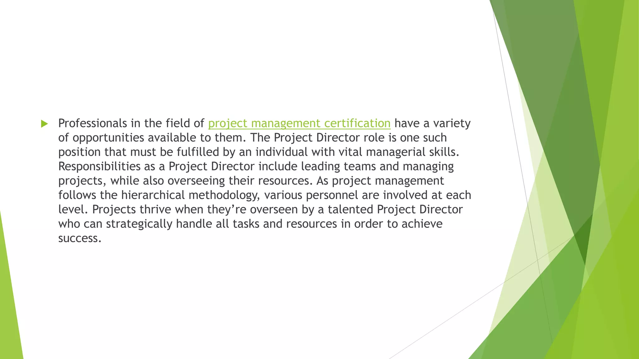Role of a Project Director in an Organization.pdf