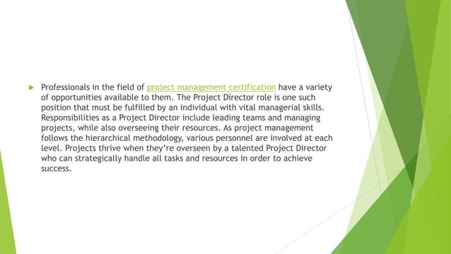 Role of a Project Director in an Organization.pdf