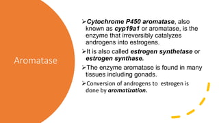 Role of aromatase in sex determination | PPT