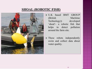 Role of Artificial intelligence in Aquaculture and Fisheries.. by Aabid ...
