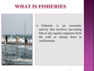 Role of Artificial intelligence in Aquaculture and Fisheries.. by Aabid ...