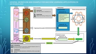 Role of Artificial Intelligence in Clinical Microbiology.pptx