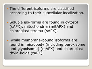 Role of ascorbate peroxidase in the antioxidant protection | PPTX