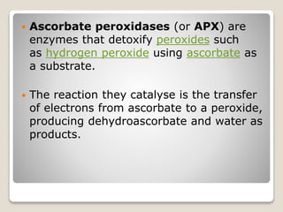 Role of ascorbate peroxidase in the antioxidant protection | PPTX ...