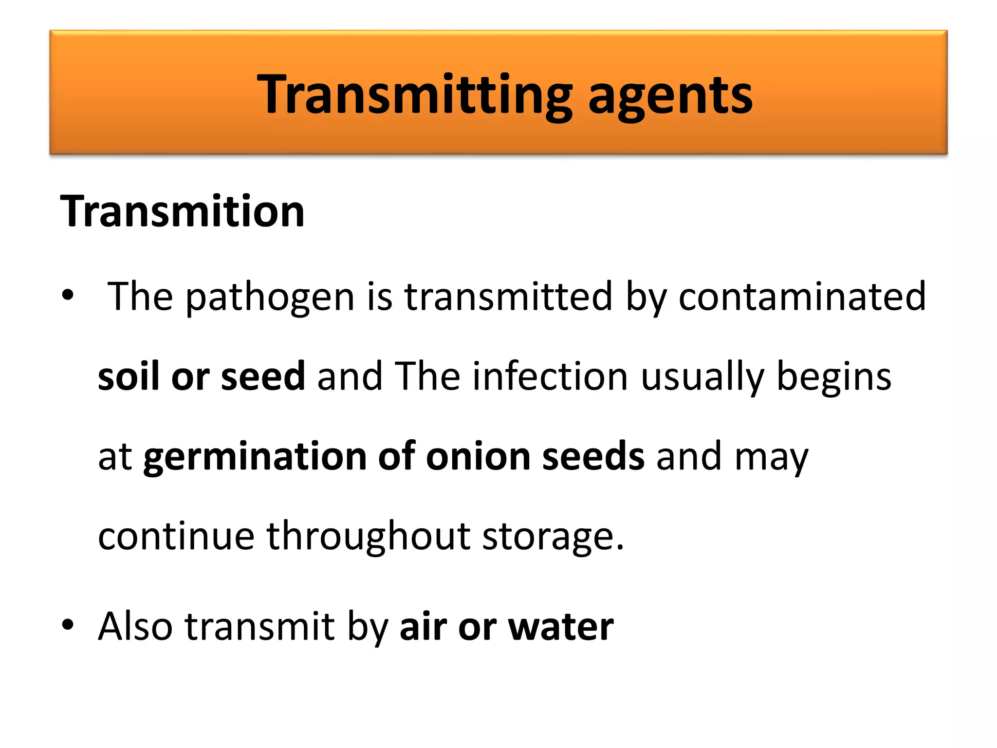 Black mold rot disease of onion | PPTX