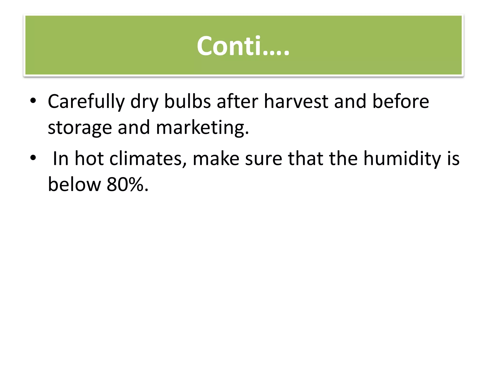 Black mold rot disease of onion | PPTX