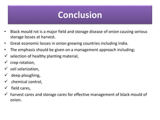 Black mold rot disease of onion | PPTX