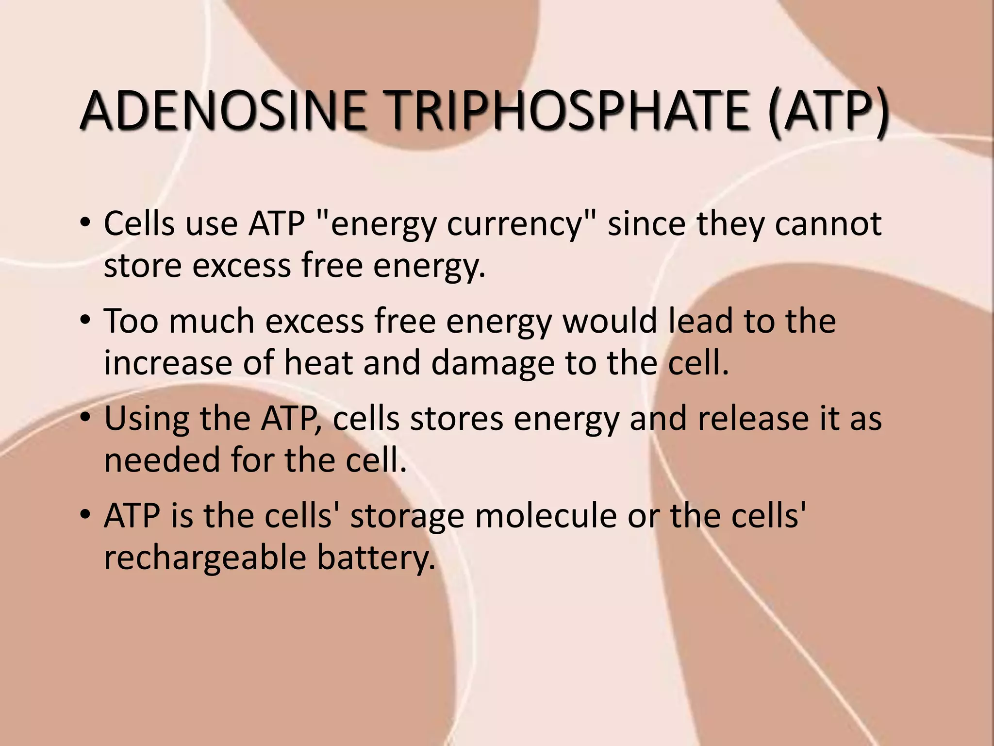 ROLE OF ATP IN-WPS Office.pptx