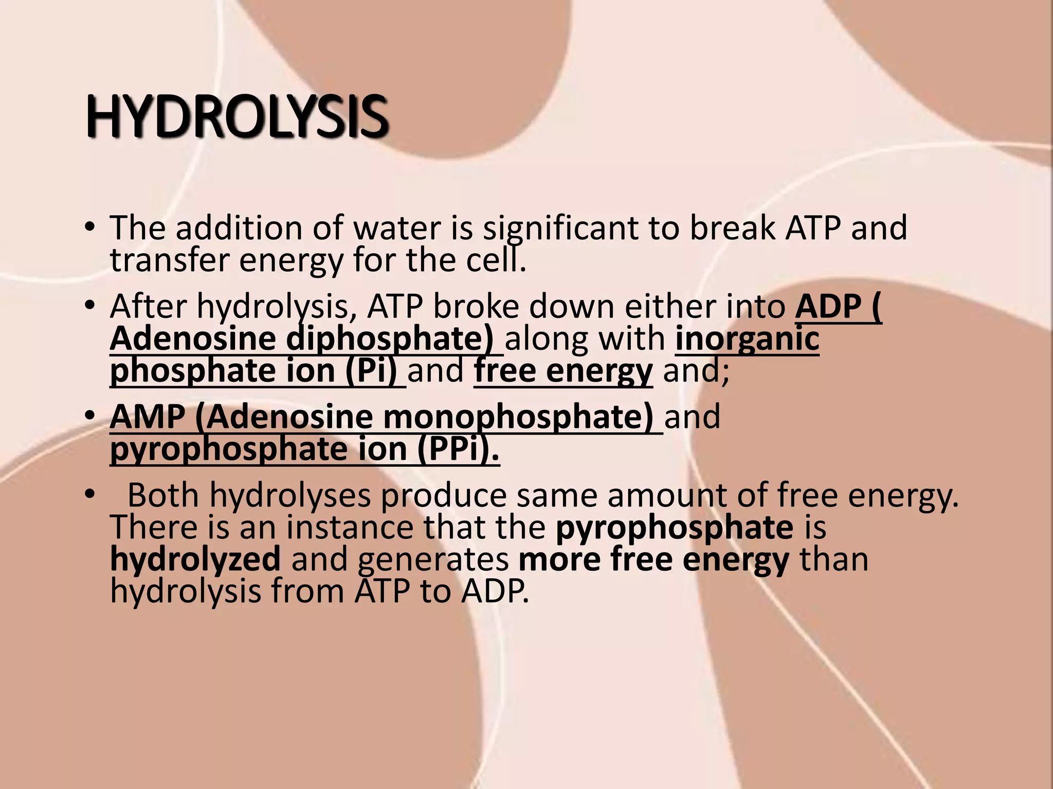 ROLE OF ATP IN-WPS Office.pptx