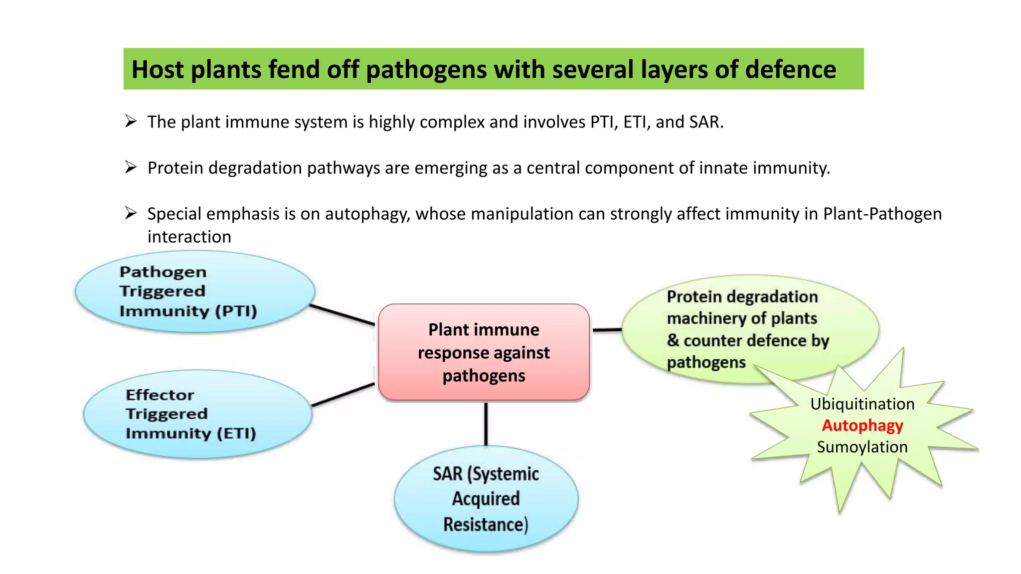 Role of Autophagy in Plant-Pathogen interaction.pptx | Gardening | Home & Garden