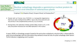 Role of Autophagy in Plant-Pathogen interaction.pptx