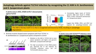 Role of Autophagy in Plant-Pathogen interaction.pptx
