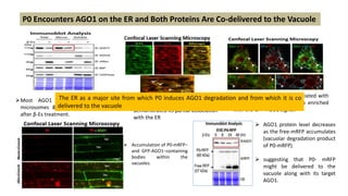 Role of Autophagy in Plant-Pathogen interaction.pptx