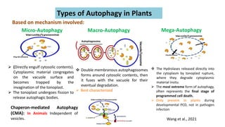 Role of Autophagy in Plant-Pathogen interaction.pptx
