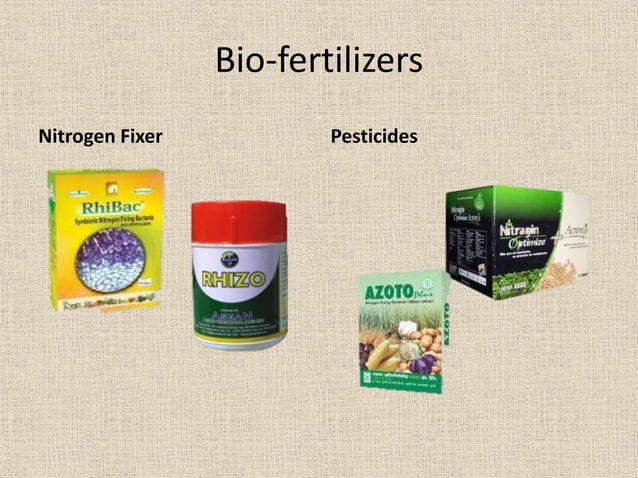 Bio-fertilizers | PPT