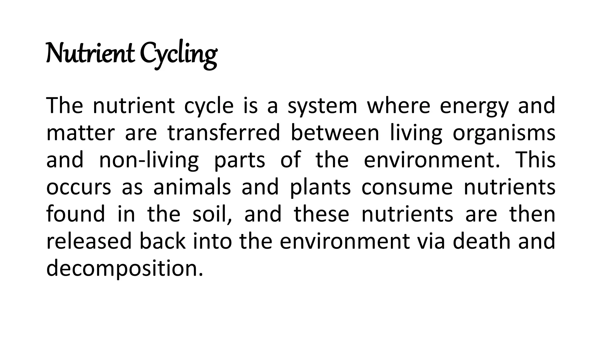 ROLE OF BACTERIA IN NUTRIENT CYCLING.pptx