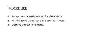 ROLE OF BACTERIA IN NUTRIENT CYCLING.pptx