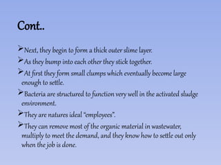 Role of bacteria in wastewater treatment, an overview.pptx
