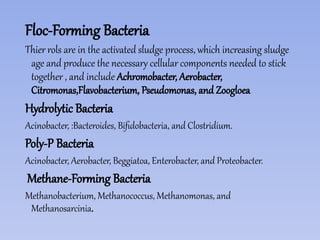Role of bacteria in wastewater treatment, an overview.pptx