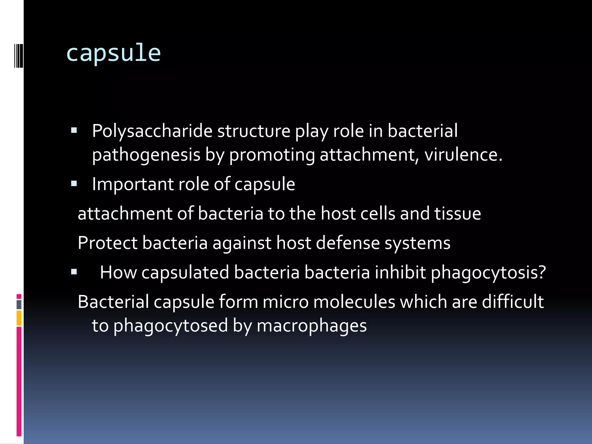Role of bacterial organelles in virulence | PPTX