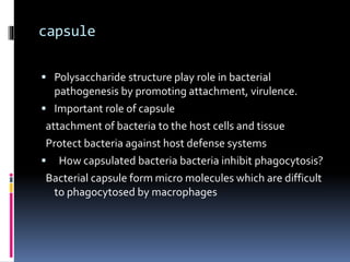 Role of bacterial organelles in virulence | PPTX | Infectious Diseases ...