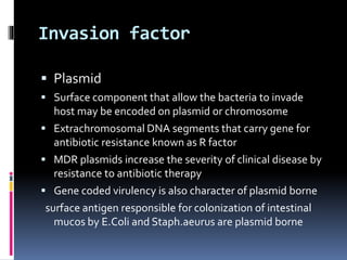 Role of bacterial organelles in virulence | PPTX | Infectious Diseases ...
