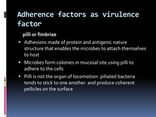 Role of bacterial organelles in virulence | PPTX | Infectious Diseases | Diseases and Conditions