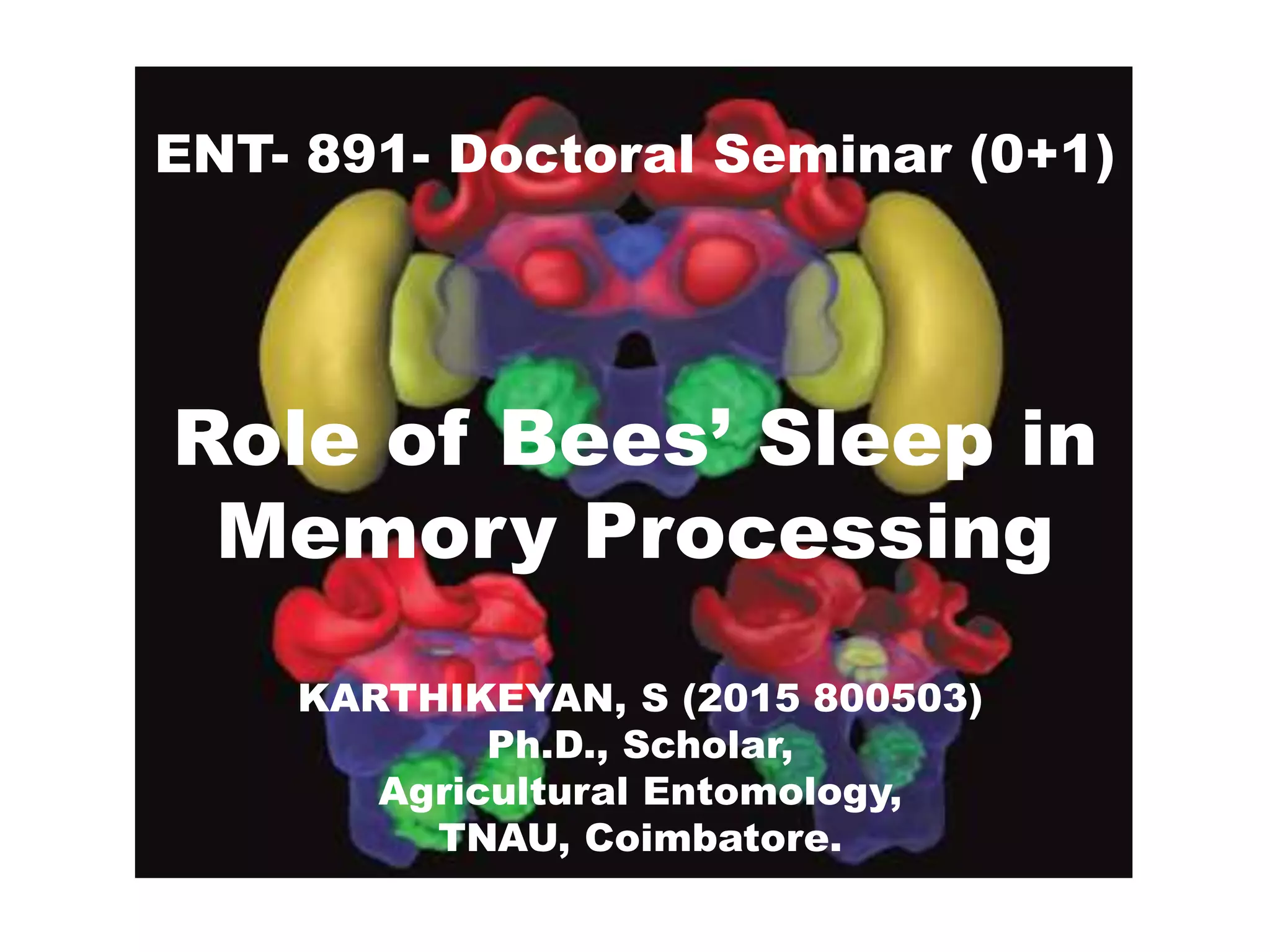 Role of bees’ sleep in memory processing | PPTX