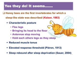 Role of bees’ sleep in memory processing | PPT