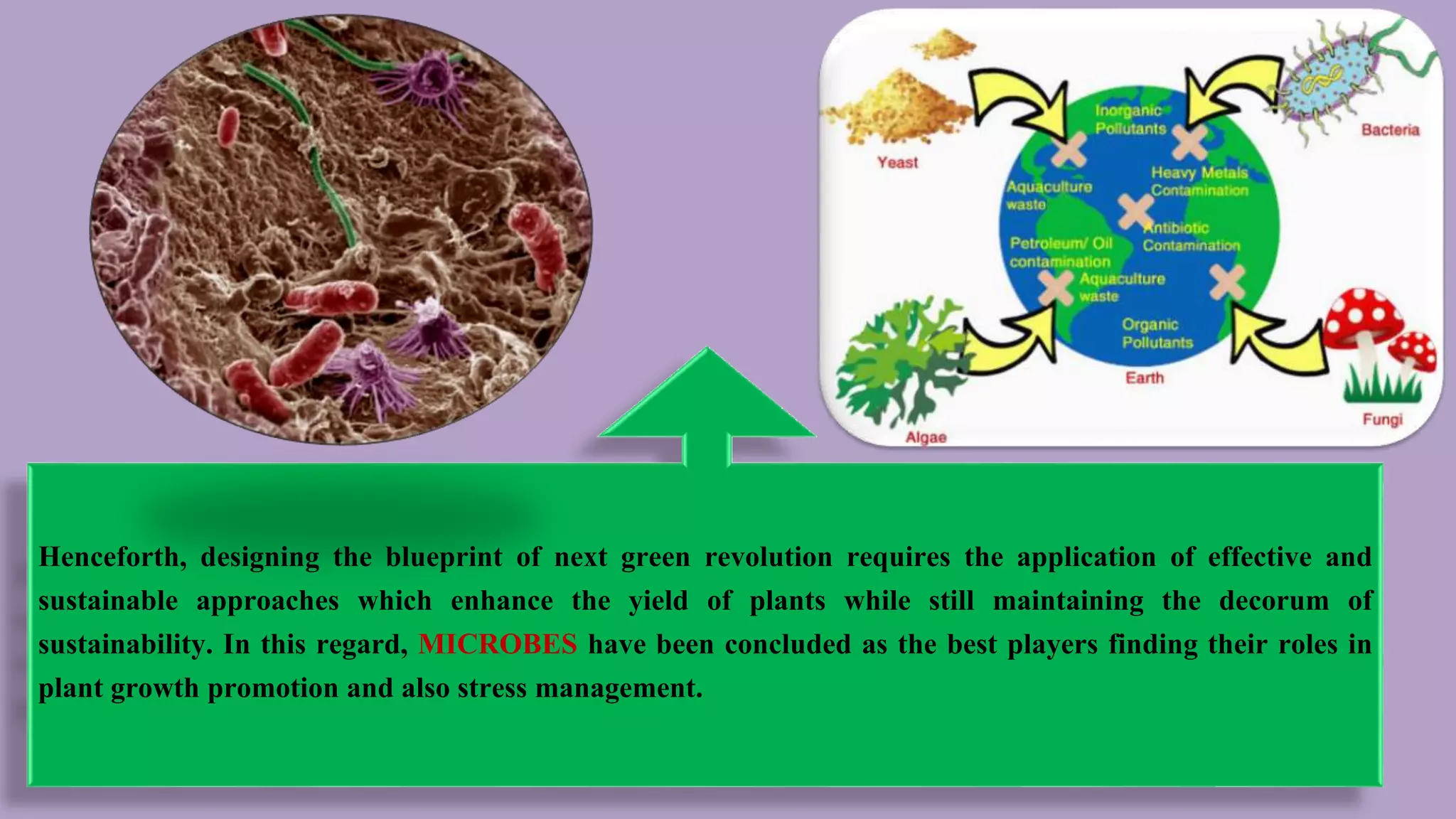Role of beneficial microbes in next green revolution | PPTX