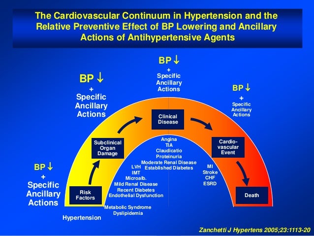 Role Of Beta Blockers In The Management Of Cardiovascular Diseases