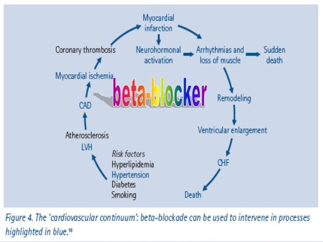 Role Of Beta Blockers In The Management Of Cardiovascular Diseases