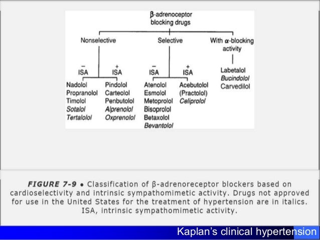 Role Of Beta Blockers In The Management Of Cardiovascular Diseases